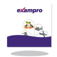 Testbase | Giving you the freedom to teach | Primary Assessment