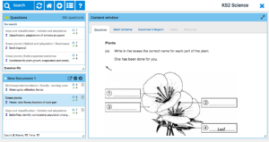 Years 5 and 6 | Testbase